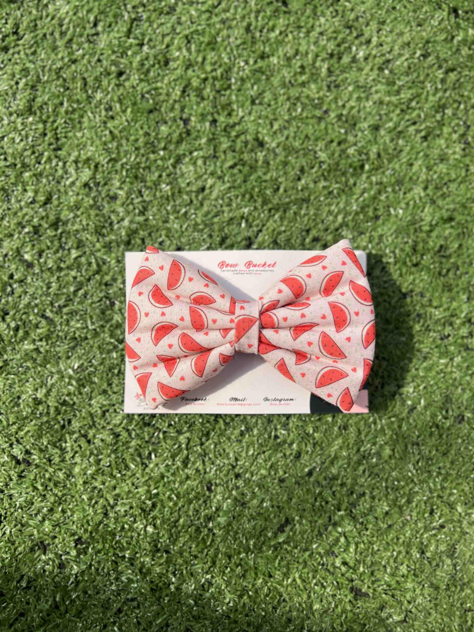 Watermelon bow